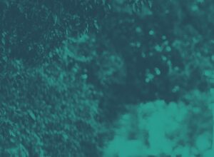 Homepage – Project Childsafe