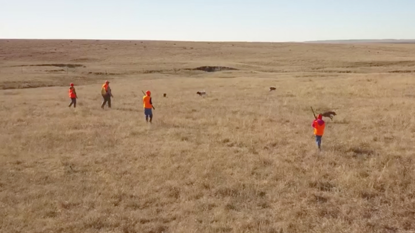 Hunt S.A.F.E – Project Childsafe